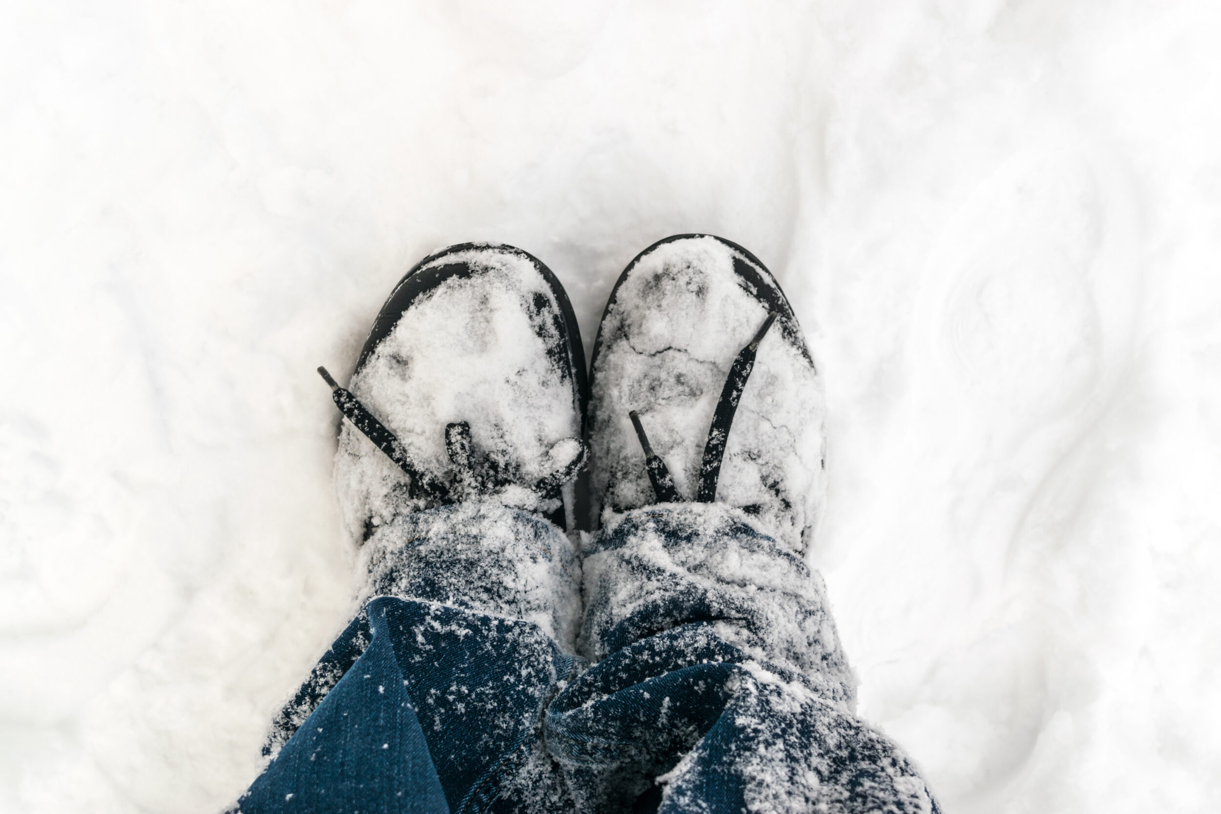 Homelessness In The Winter Housing Visions